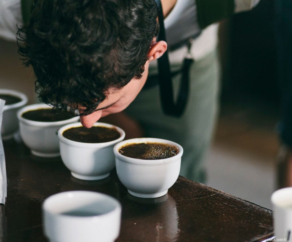 Cursos - Mare Terra Coffee Institute